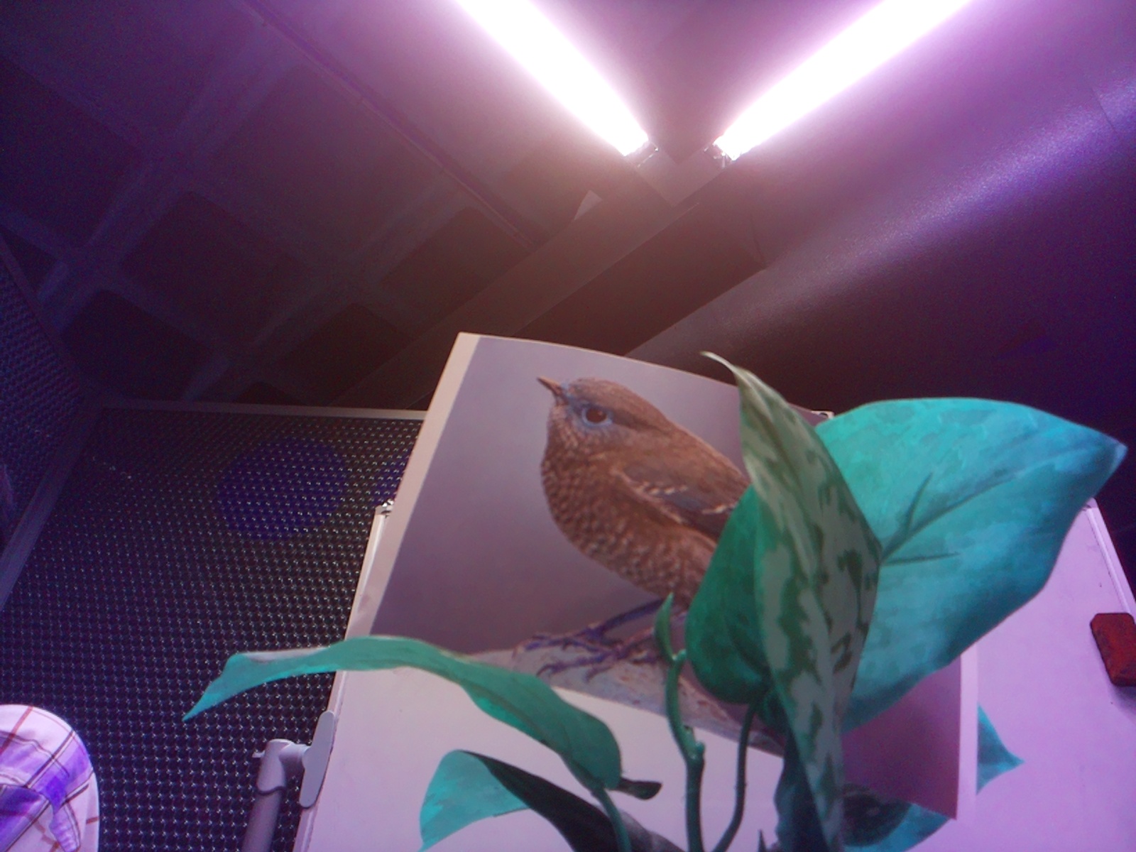 Garden Watcher | [“IOT Plant Monitoring System”]